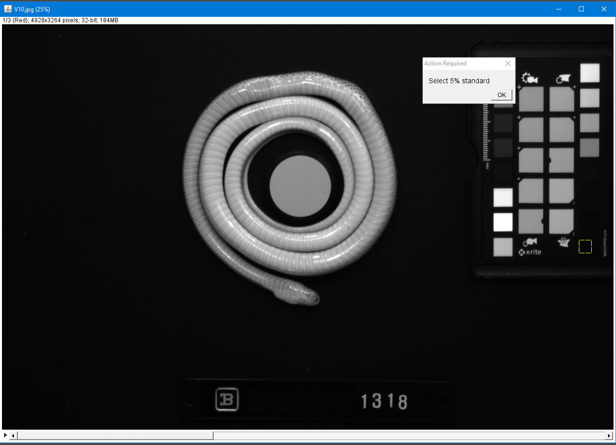 GitHub - EMBiRLab/batch-mask