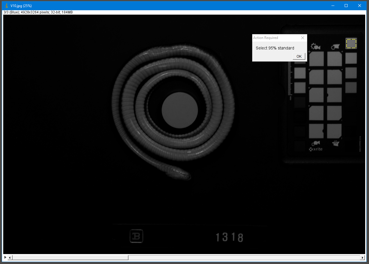 GitHub - EMBiRLab/batch-mask