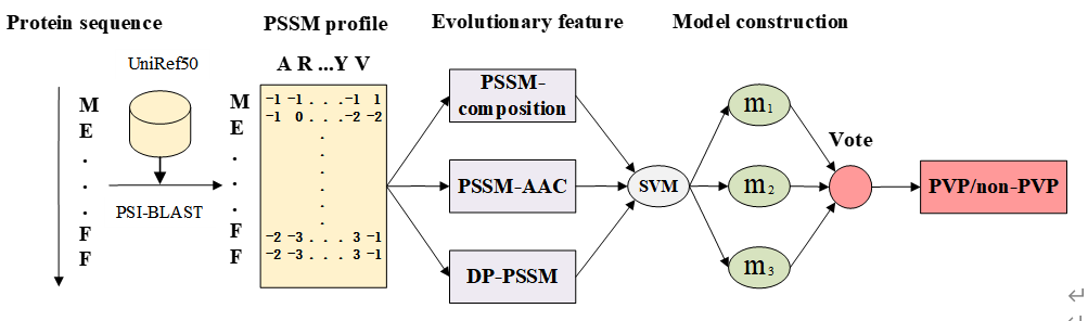 GitHub - taigangliu/iPVP-MCV