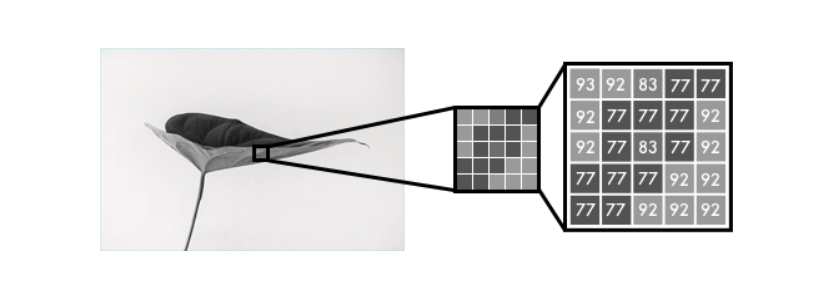 GitHub - ShubhangiDabral13/Colorizing-Black-And-White-Images: Using ...