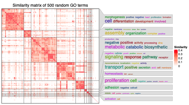 Draw border on one axis only, e.g. rows · Issue #866 · jokergoo/ComplexHeatmap · GitHub