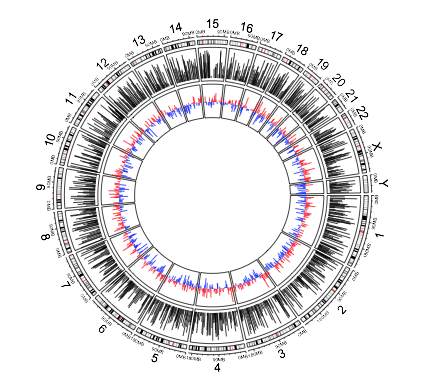 What does circos.genomicDensity function plot? · Issue #43 · jokergoo/circlize · GitHub
