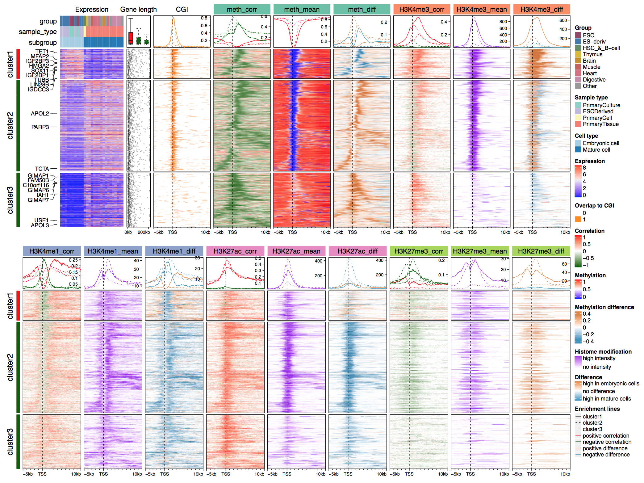 Making Enriched Heatmaps EnrichedHeatmap