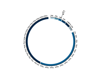 Plotting genomicLabels on Zoomed-In chromosome · Issue #231 · jokergoo/circlize · GitHub
