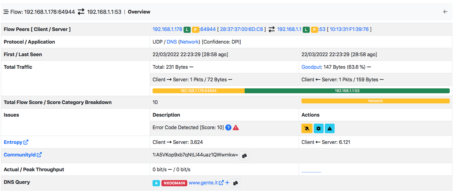 Inconsistent DNS formatting · Issue #6464 · ntop/ntopng · GitHub