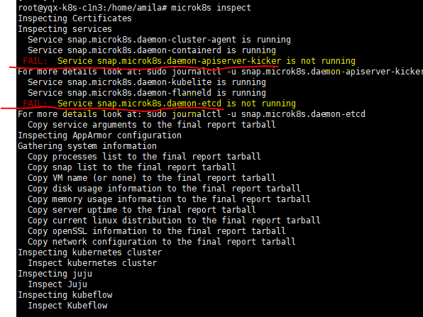 Service snap.microk8s.daemon-apiserver-kicker is not running in microk8s node servers · Issue ...