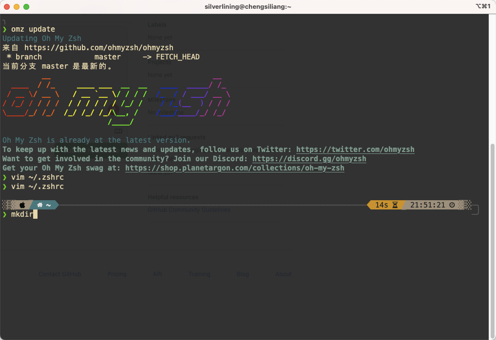 Instant prompt not working · Issue #1569 · romkatv/powerlevel10k · GitHub