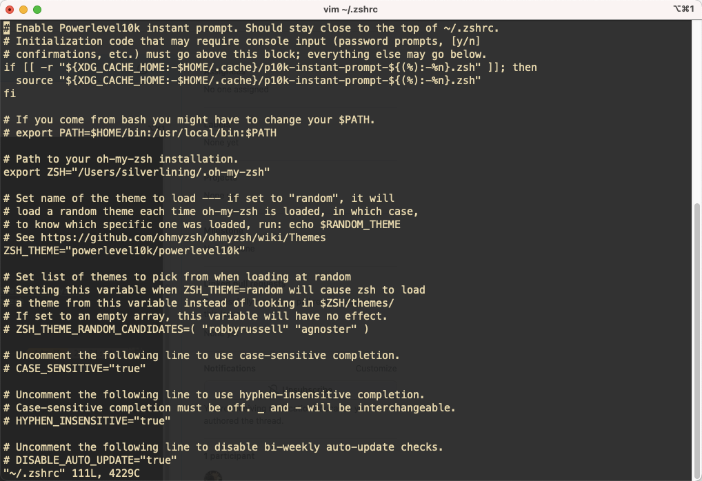 Instant prompt not working · Issue #1569 · romkatv/powerlevel10k · GitHub