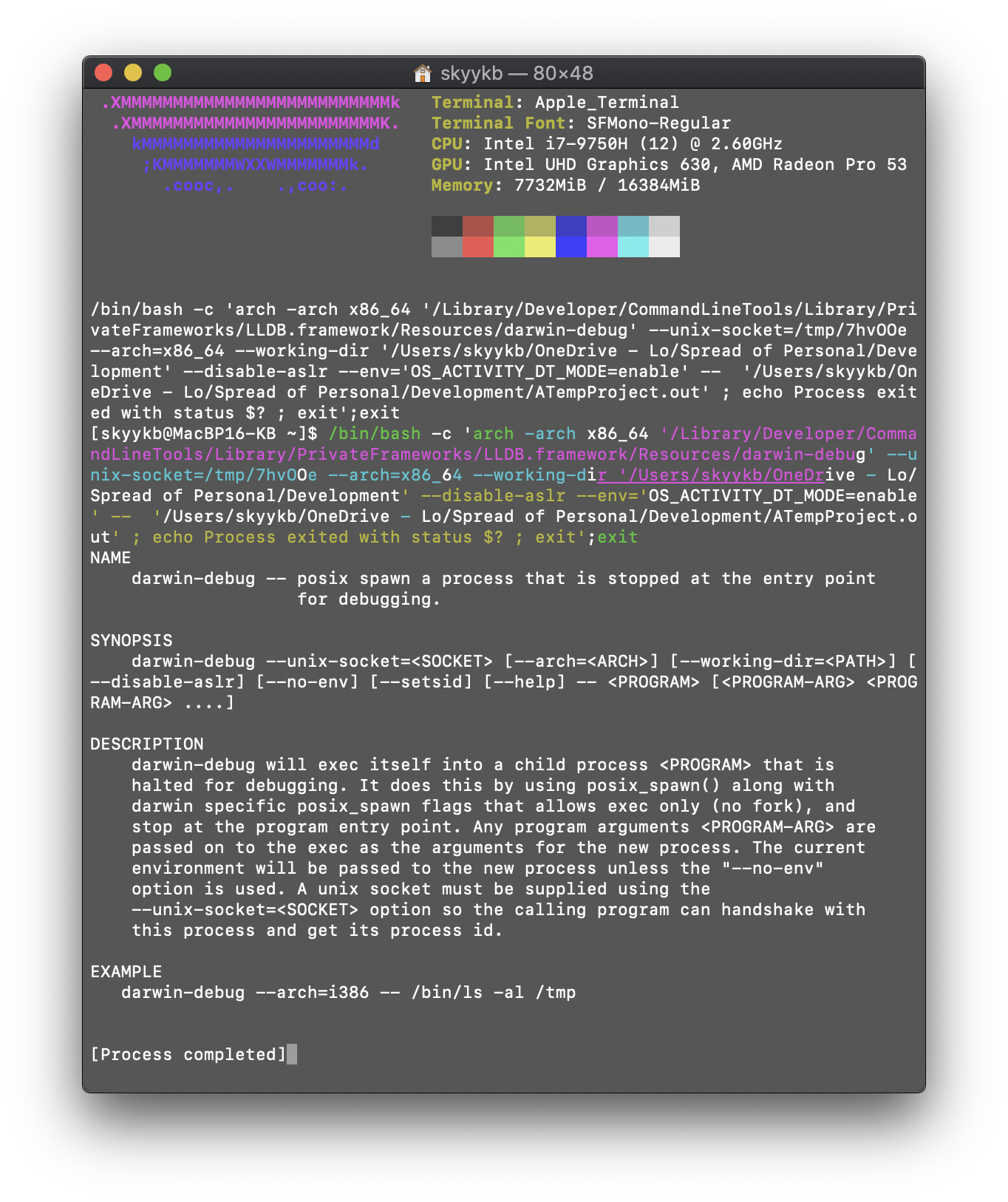 macOS Catalina fails to launch process in external terminal · Issue ...