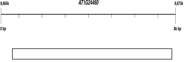 How to make major tick marks work in chart.js? · Issue #7355 · chartjs ...