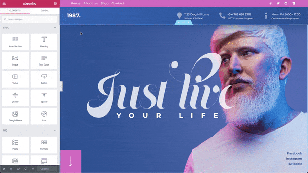 Elementor Pro v2.9 Beta 3 (RC) Release 📣 · Issue #10718 · elementor/elementor · GitHub