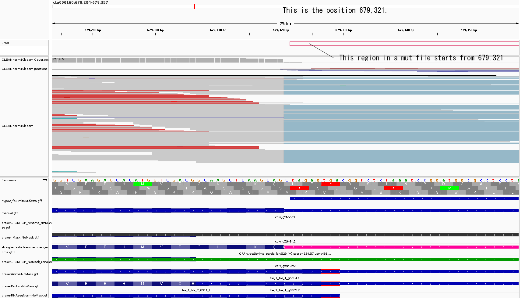 wrong region display for mut file · Issue #1226 · igvteam/igv · GitHub