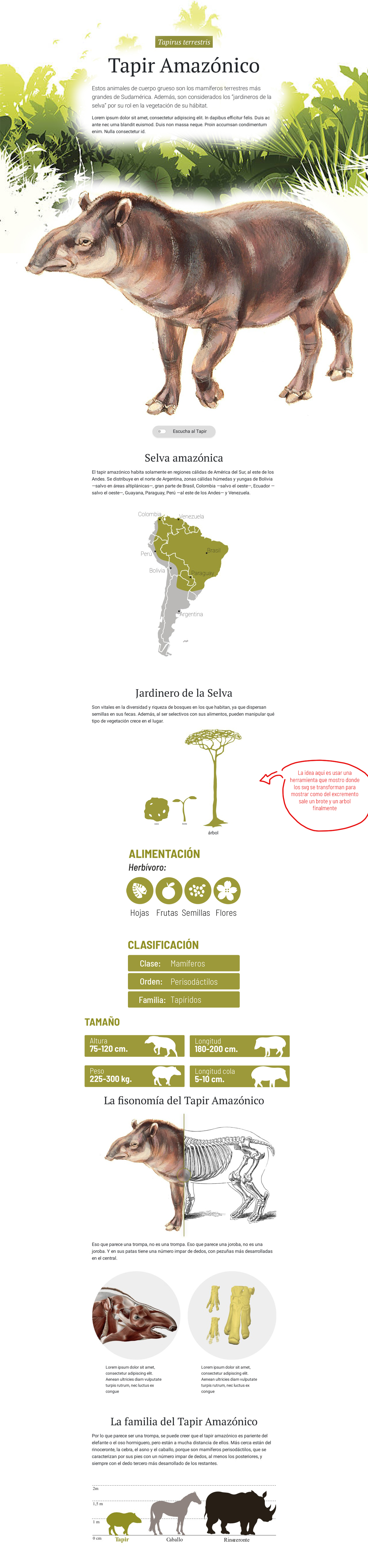 GitHub - tapir-amazonico/Maqueta02: Segunda maqueta de idea para infografía web.