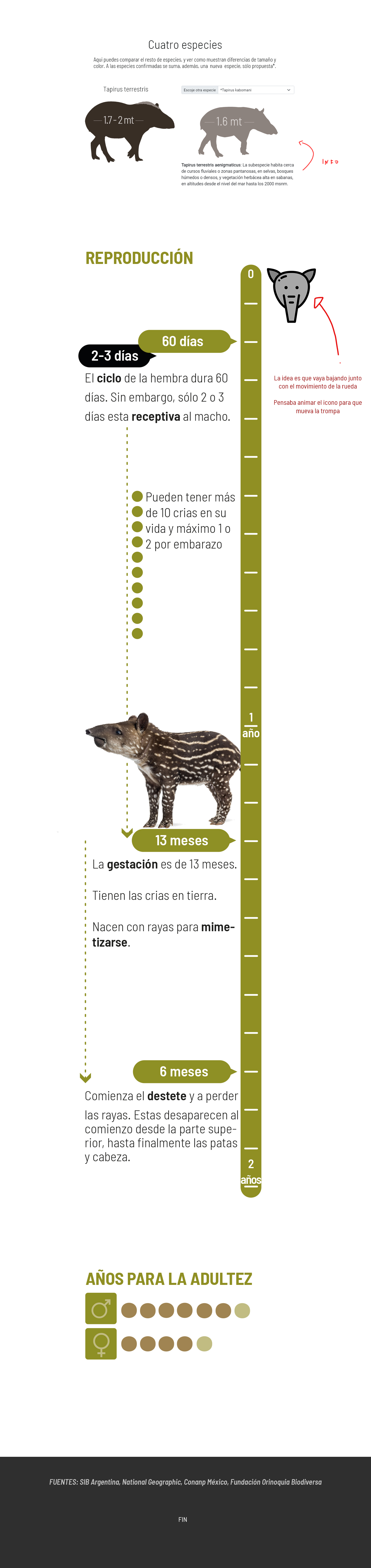 GitHub - tapir-amazonico/avance