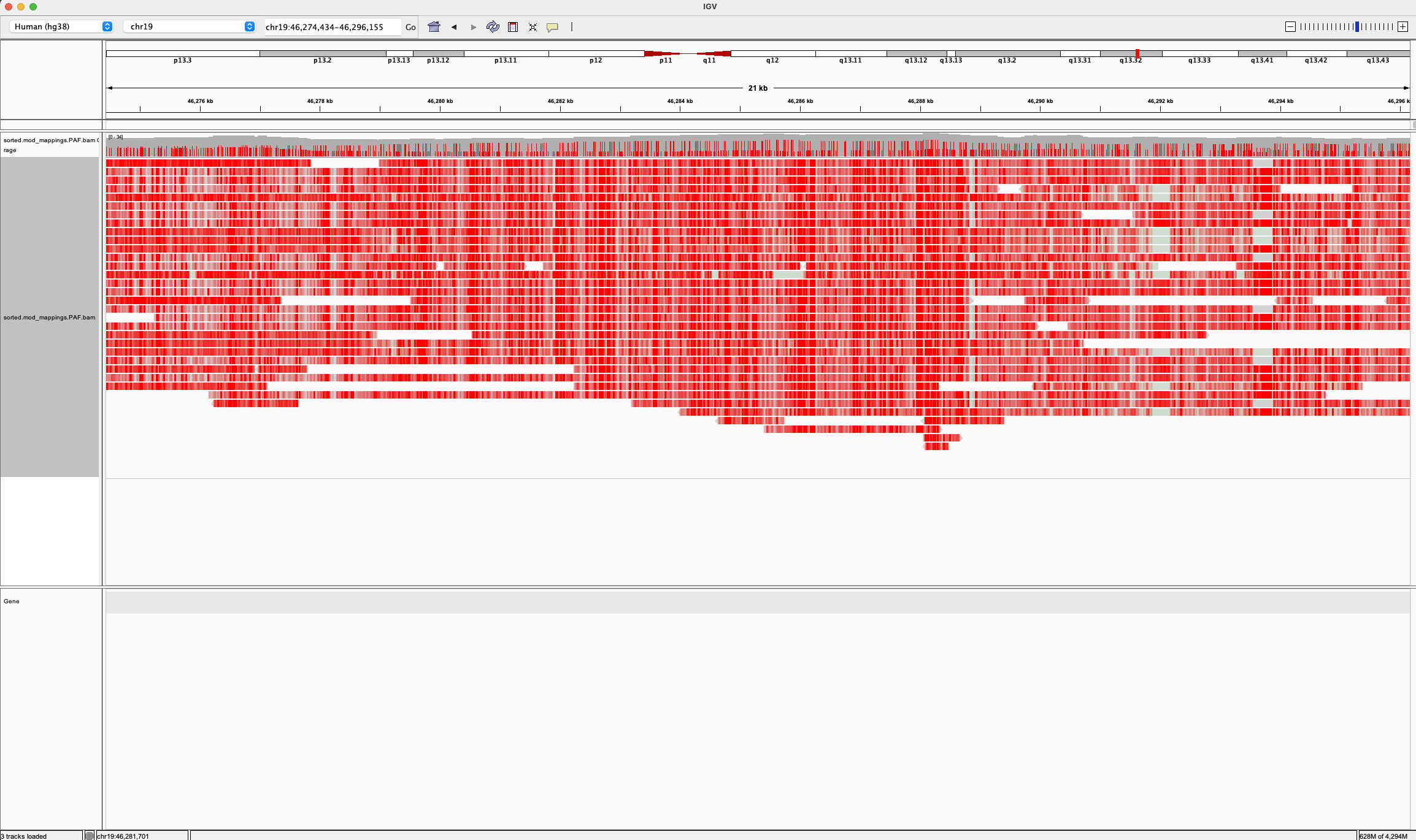 Viewing methylation in IGV · Issue #163 · nanoporetech/megalodon · GitHub
