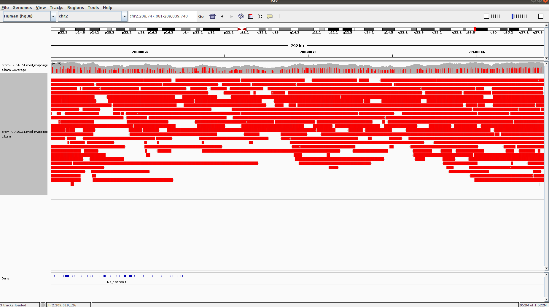 Viewing methylation in IGV · Issue #163 · nanoporetech/megalodon · GitHub
