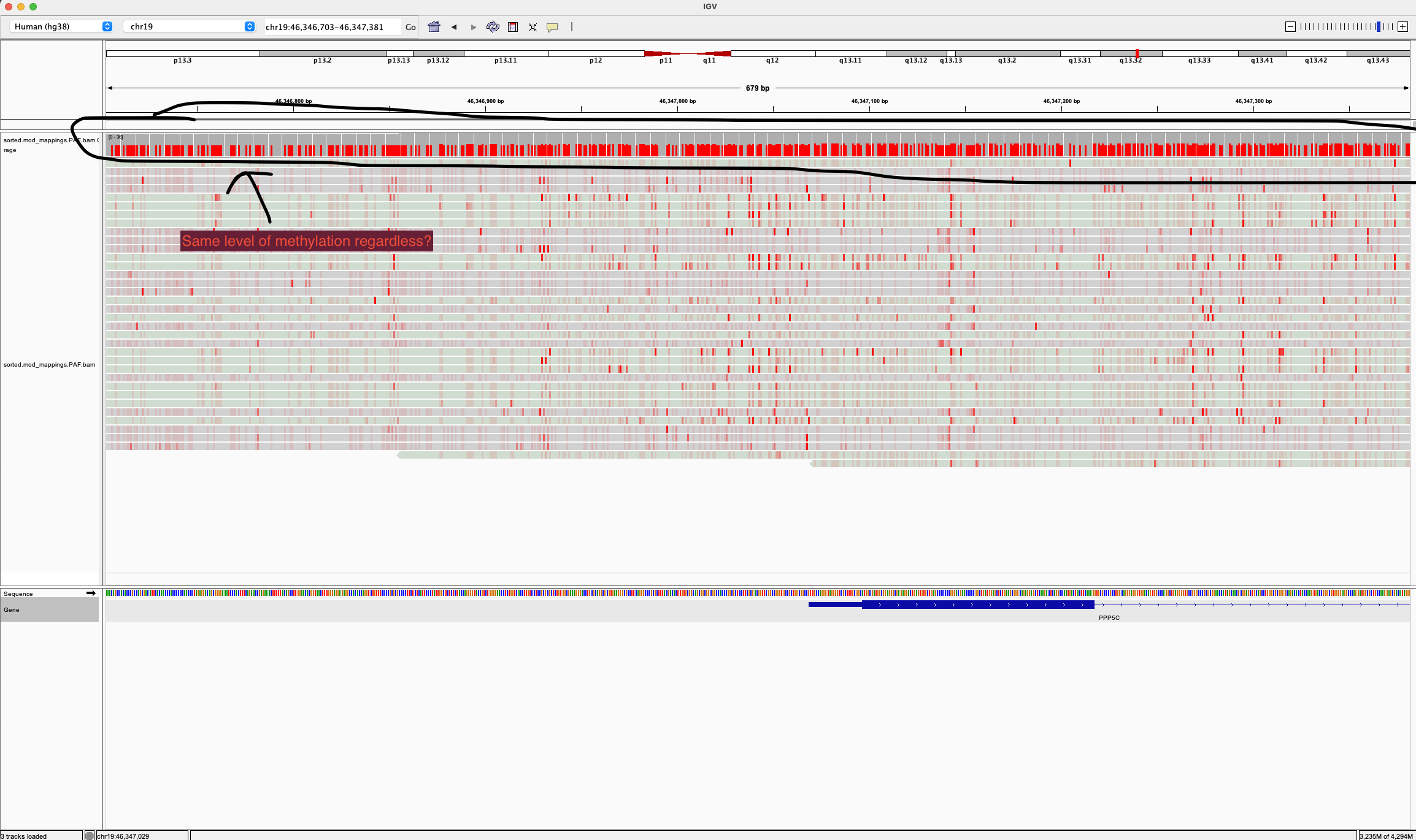 Viewing methylation in IGV · Issue #163 · nanoporetech/megalodon · GitHub