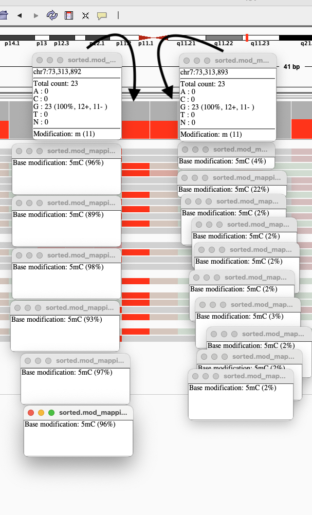 [Feature Request] Dynamic threshold on the modbam coverage track. · Issue #991 · igvteam/igv ...