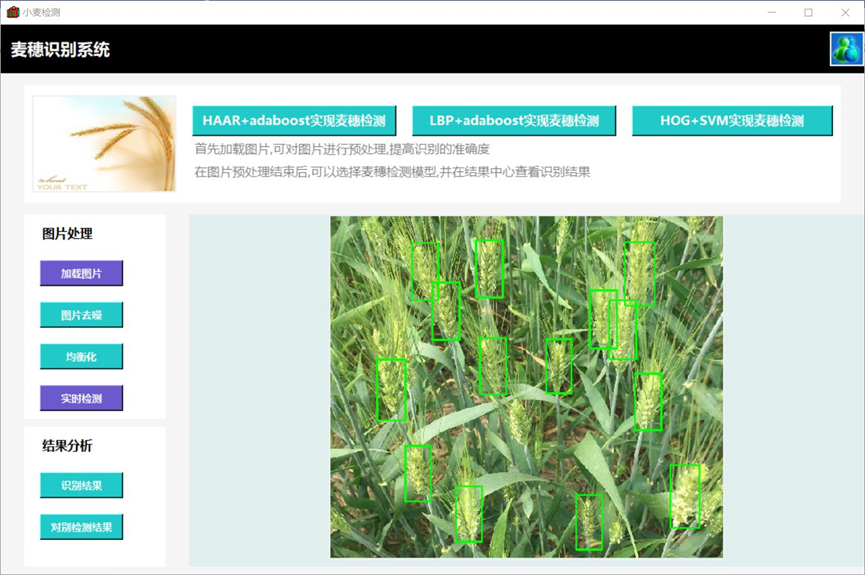 GitHub - njauhsy/WheatDetection: 基于HAAR+Adaboost与LBP+Adaboost的麦穗识别