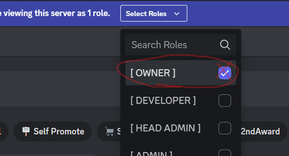 [Bug]View server as role is bugged · Issue #1502 · BetterDiscord ...