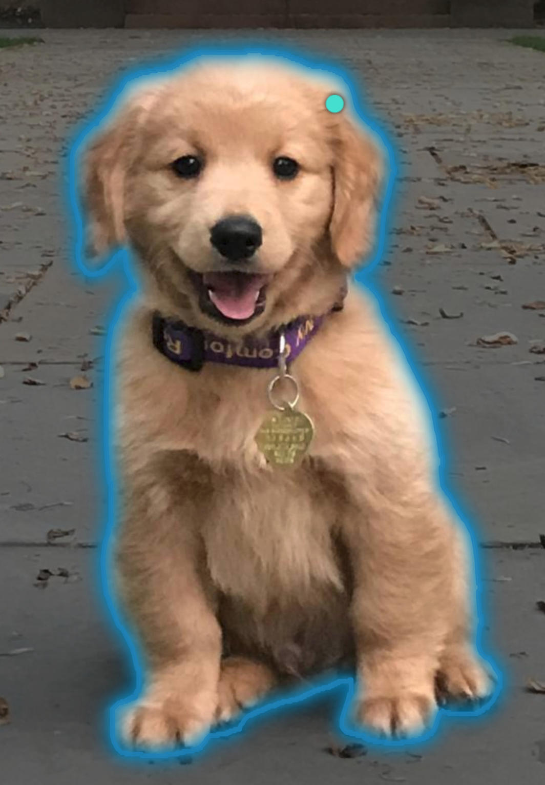 How to segment with color like in the demo? · Issue #592 · facebookresearch/segment-anything ...