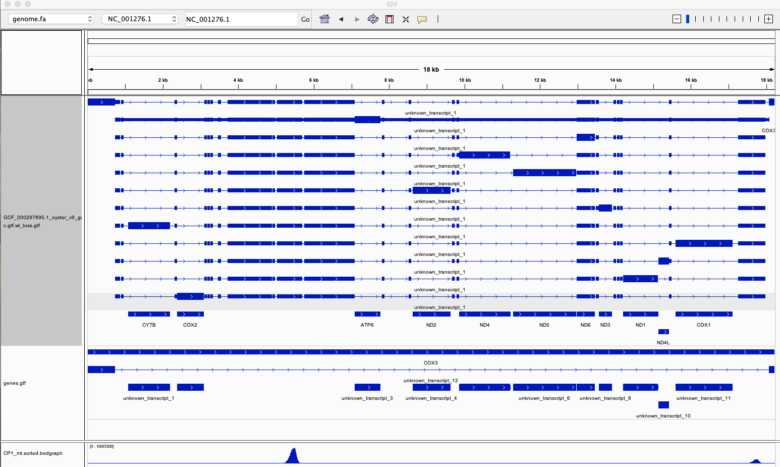 Request to map a C. gigas RNA-Seq dataset to include mitochondrial genes · Issue #1045 ...