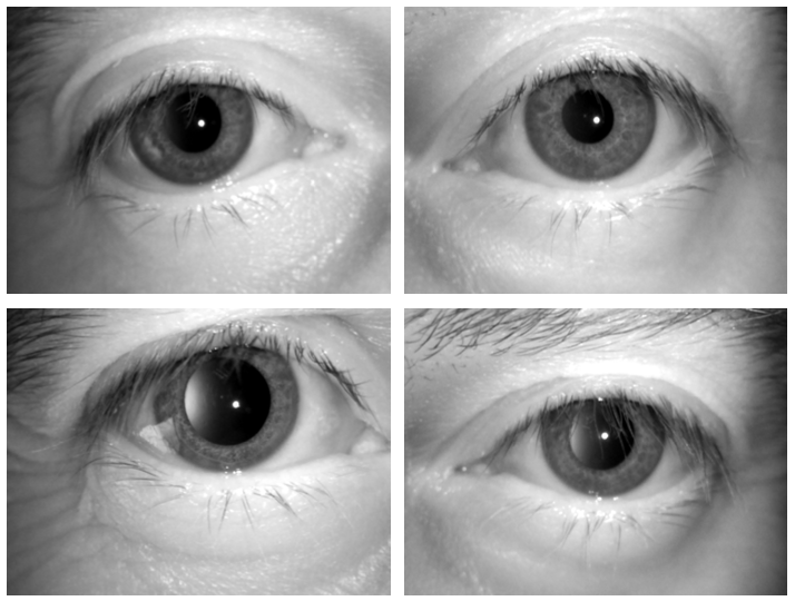 GitHub - jedota/Iris_alcohol_classification