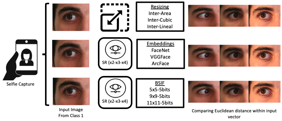 GitHub - DonChoppy/selfie-biometrics-periocular-iris