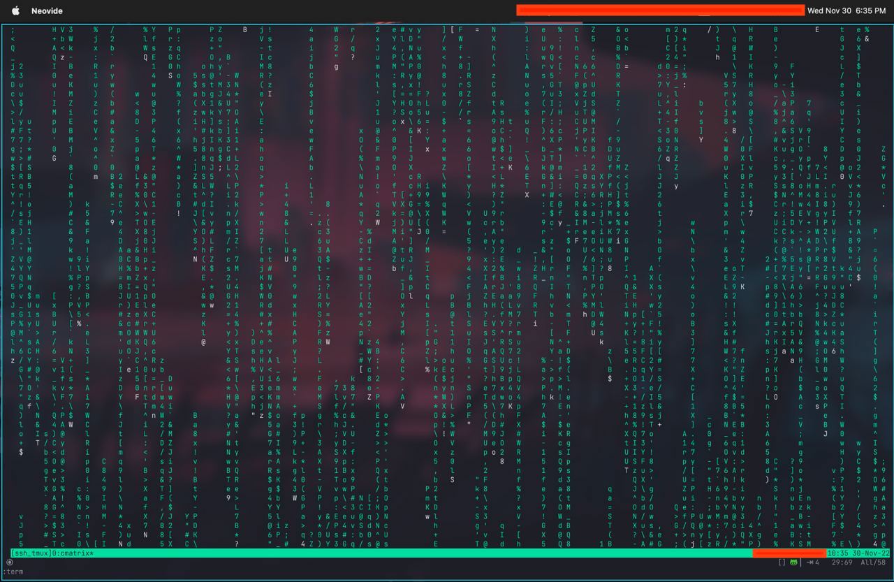 Neovide's terminal doesn't allow to connect to remote server via SSH · Issue #1656 · neovide ...