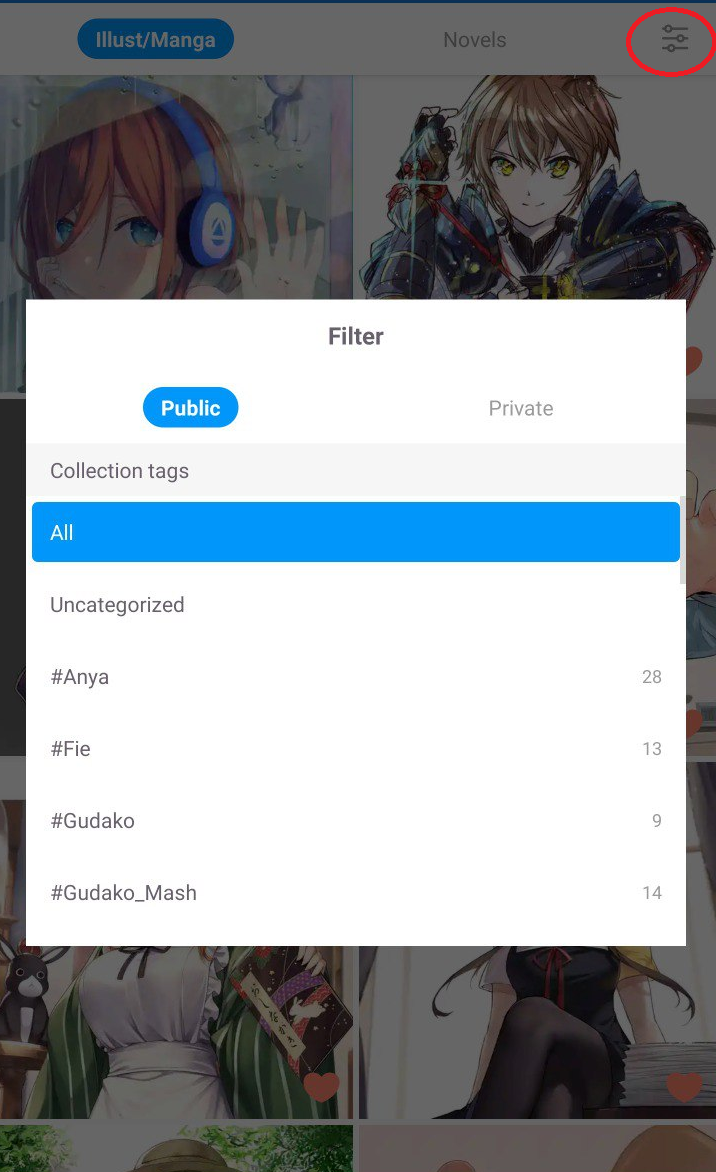 Modify user bookmark-tag information · Issue #130 · upbit/pixivpy · GitHub