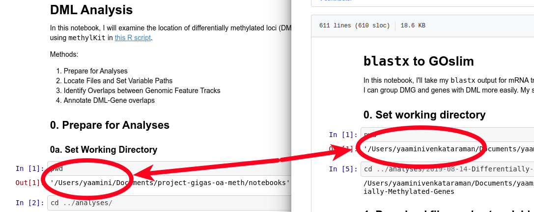 Script error when assigning GOslim terms to DML-Gene overlaps · Issue #776 · RobertsLab ...