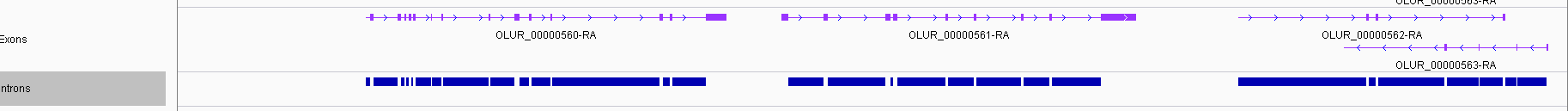 Approach for "stranded" intron BED files? · Issue #811 · RobertsLab/resources · GitHub