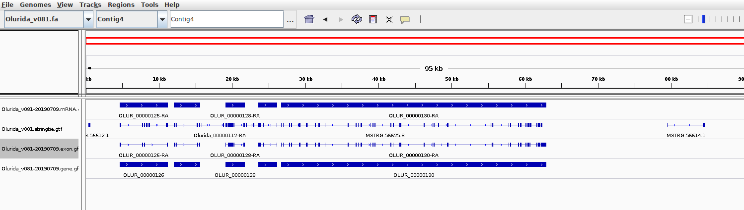 O. lurida GTF annotation file for STAR aligner · Issue #926 · RobertsLab/resources · GitHub