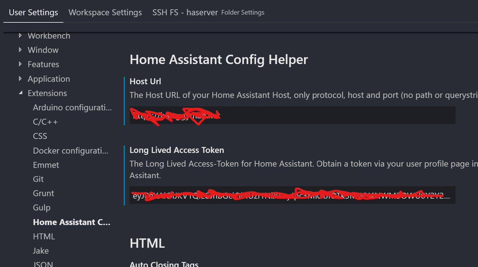 Can't insert token on mac · Issue #5 · keesschollaart81/vscode-home ...
