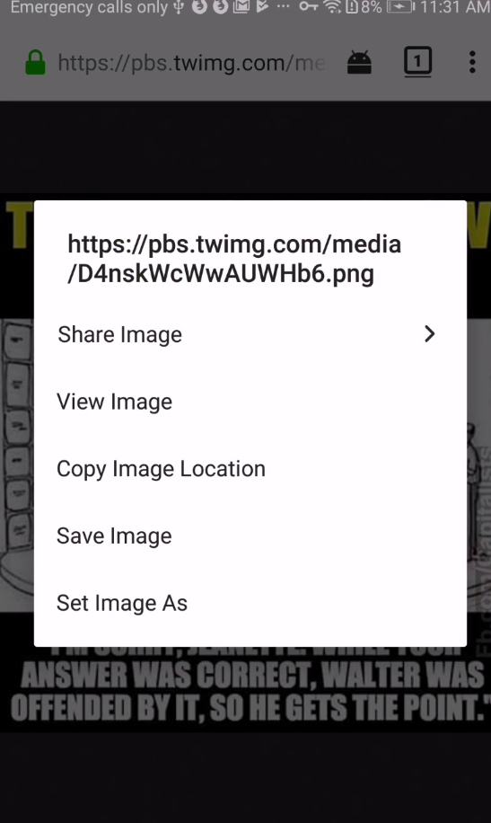 pbs.twimg.com - site is not usable · Issue #29795 · webcompat/web-bugs ...