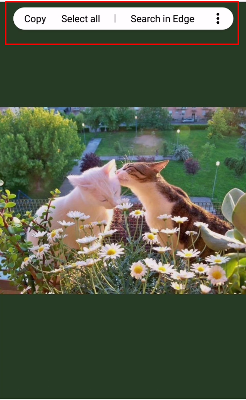 mobile.twitter.com - The contextual menu for text "Copy/Select/Search ...