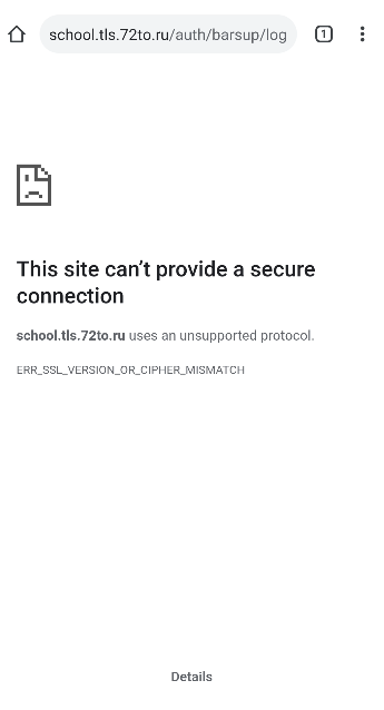 school.tls.72to.ru - design is broken · Issue #59373 · webcompat/web ...