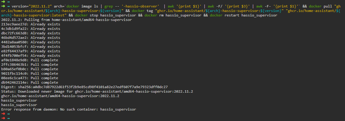Supervisor 2022.11.1 wont install · Issue #4003 · home-assistant ...