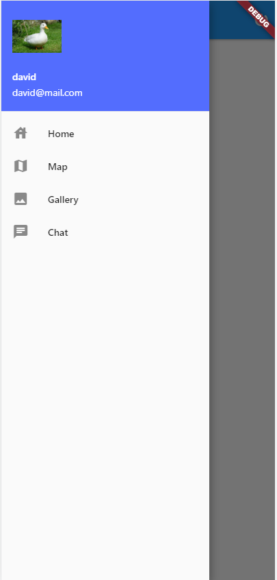 GitHub - DemjenDavid/google_flutter_final_homework