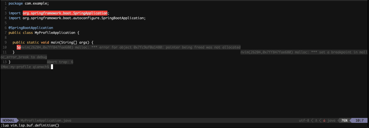 vim.lsp.buf.definition could cause nvim to crash from 0.8.1 · Issue #321 · neovim/neovim.github ...