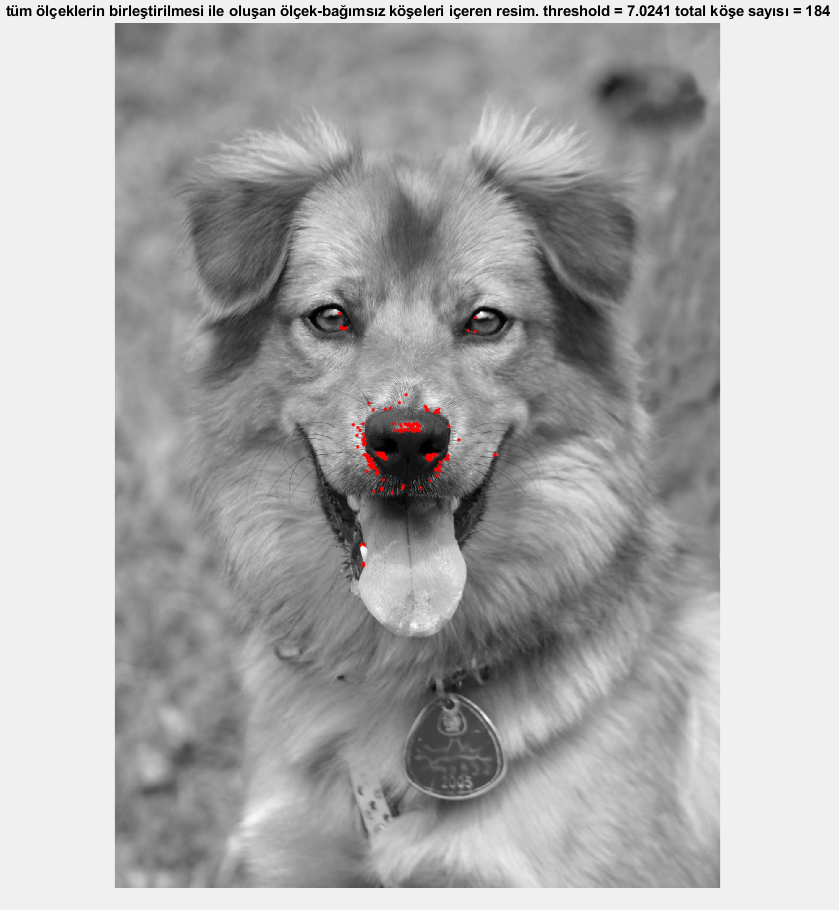 GitHub - kemalbayikk/harris_edge_detector