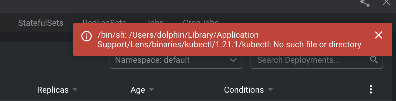 could not find the kubectl file · Issue #3569 · lensapp/lens · GitHub