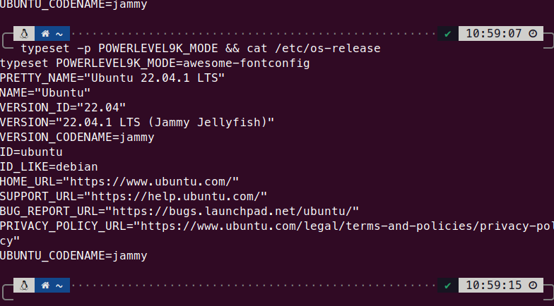 Wrong OS Icon Displayed · Issue #2115 · romkatv/powerlevel10k · GitHub