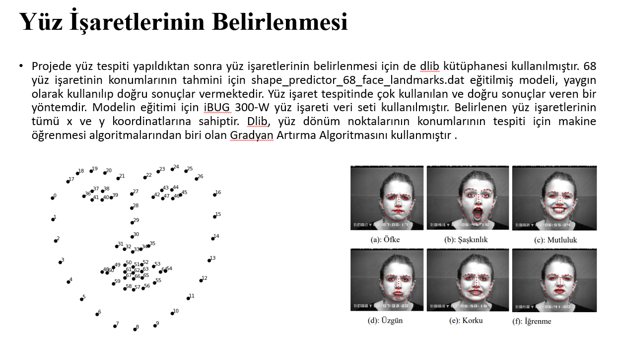GitHub - busraaguler/Emotion-Detection: Emotion detection with machine ...