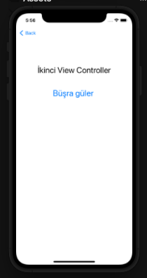 GitHub - busraaguler/SegueApp