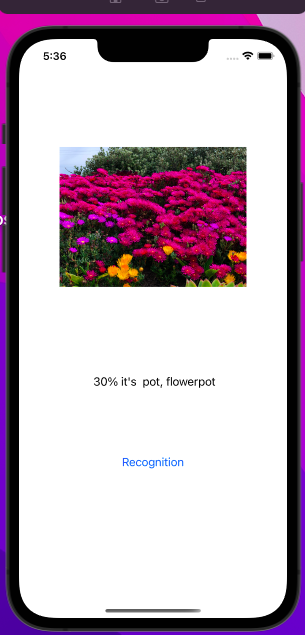 GitHub - busraaguler/MachineLearningWithSwift: MobileNetV2 Mahine Learning Model