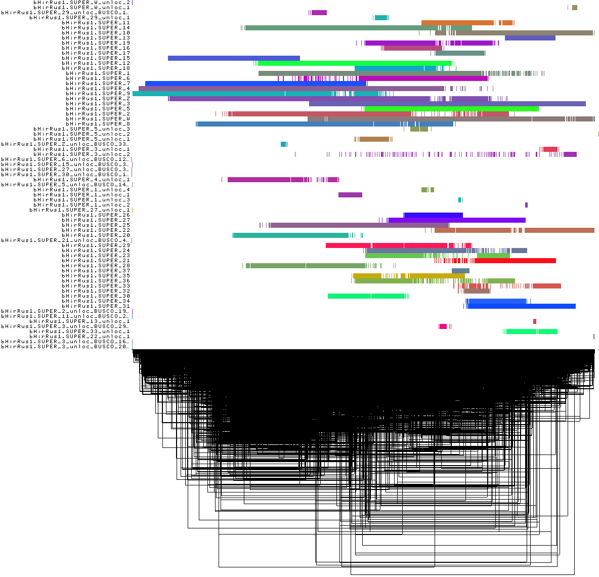 Visulization of vg file from Progressive Cactus Pangenome Pipeline · Issue #228 · pangenome/odgi ...