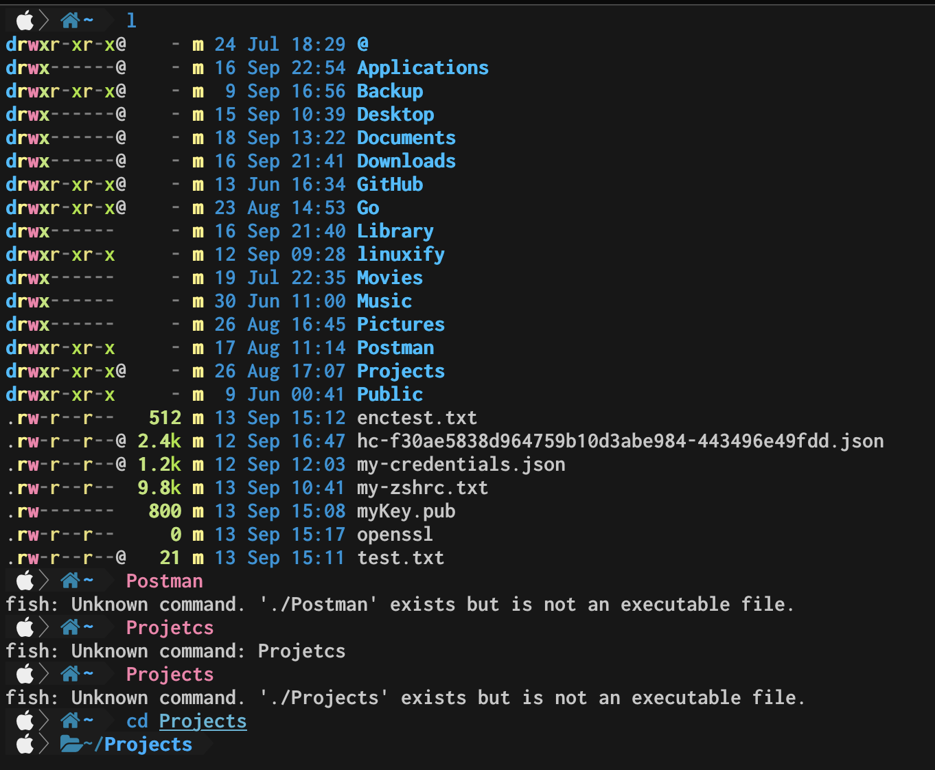[Bug] Cannot auto-cd to directory · Issue #9216 · fish-shell/fish-shell · GitHub