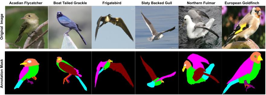 GitHub - hamedbehzadi/CUB70-PartSegmentationDataset