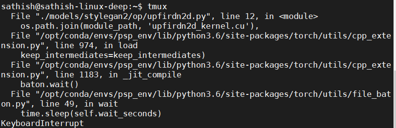File not compiling · Issue #43 · eladrich/pixel2style2pixel · GitHub